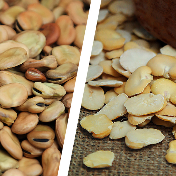 Wakalex | WAKALEX industry and trade - Export